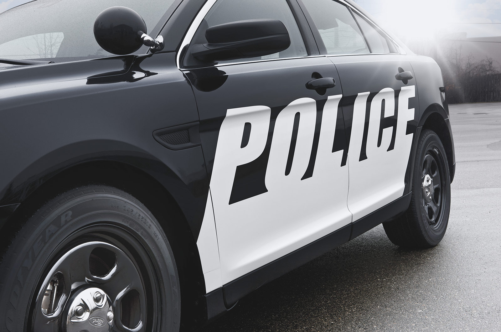 Police Protection | DEW Engineering and Development